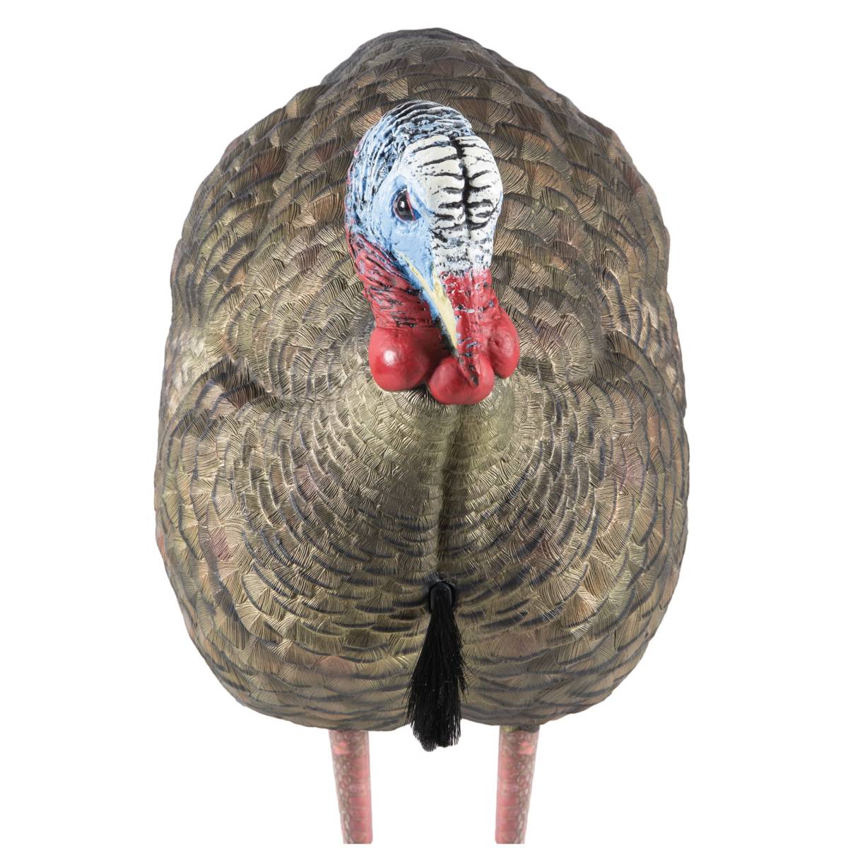 Avian X AVXAVX8012 LCD Half-Strut Jake Turkey Species Multi Color ...