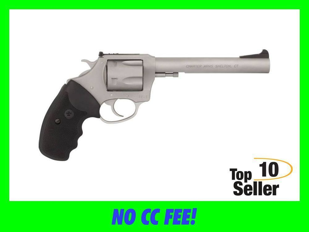 Charter Arms 73566 Mag Pug Target Extra Large 357 Mag, 6 Shot 6” Matte ...