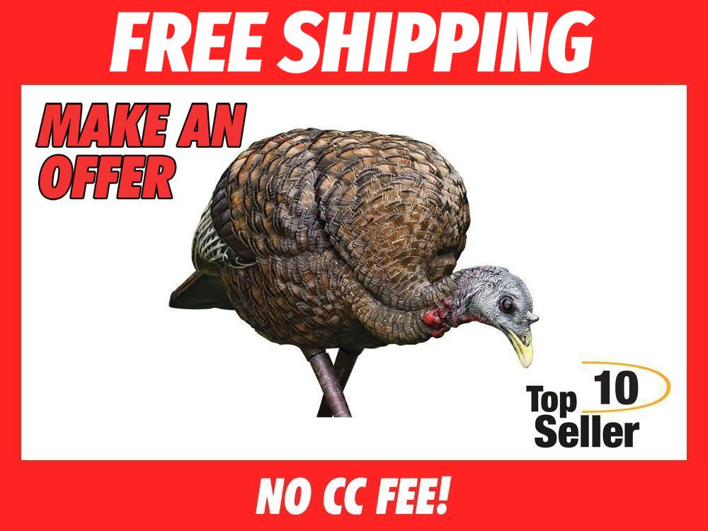 Avian X AVXAVX8007 LCD Feeder Hen Turkey Species Multi Color Dura ...